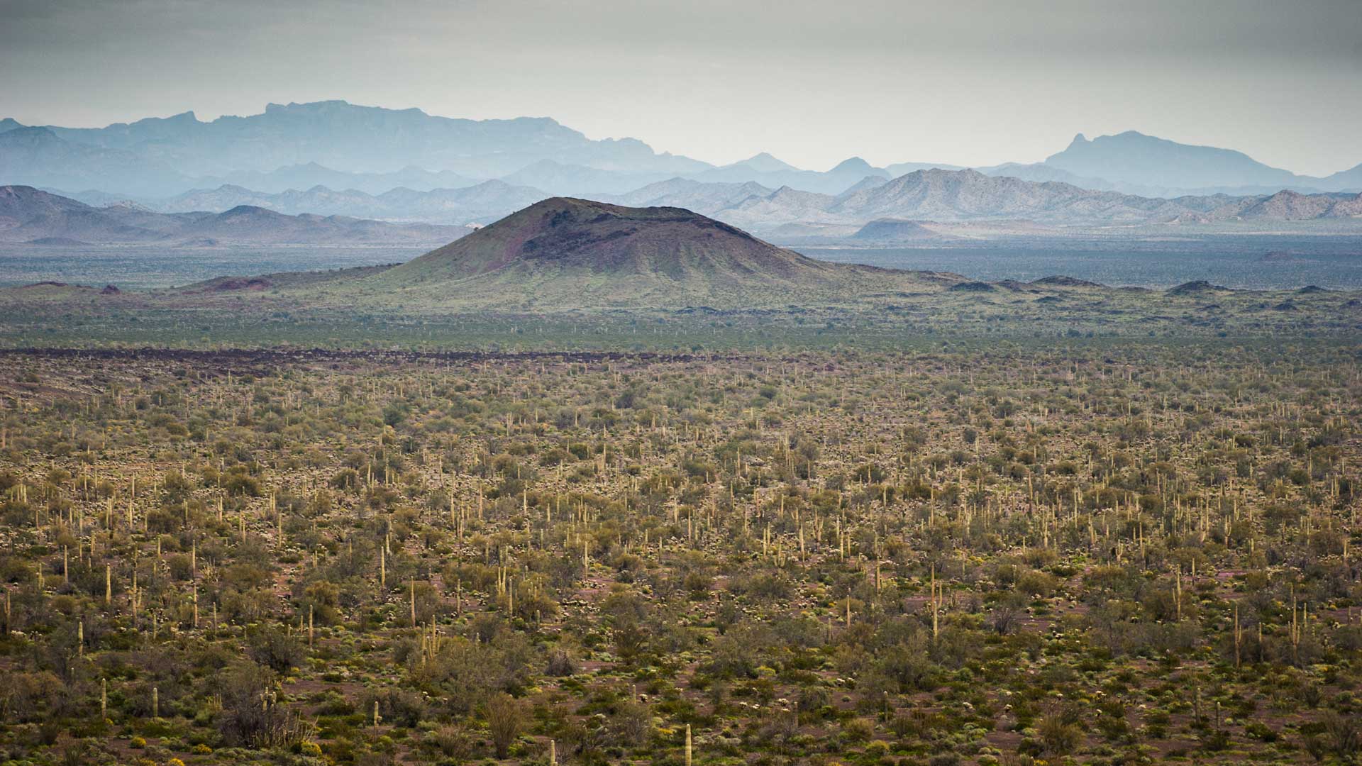 Reserva de la Biósfera el Pinacate y Gran Desierto de Altar